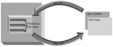 SAP Experts: Roll-In/Roll-Out Processing