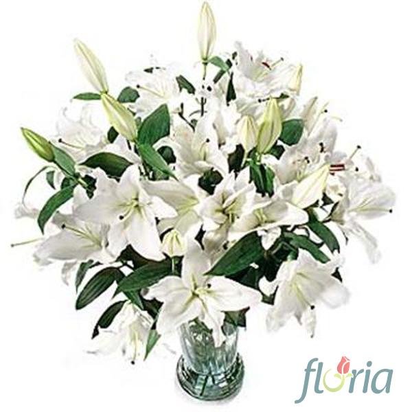 Speranta, credinta si iubire: Crinii feciorelnici ai Maicii Domnului