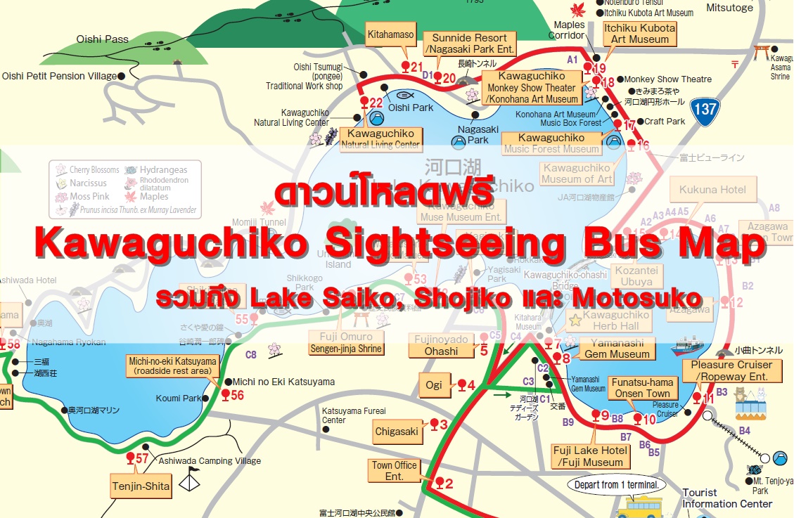 แผนที่รถบัสคาวากูจิโกะและภูเขาไฟฟูจิ - Fuji Kawaguchiko Sightseeing bus map