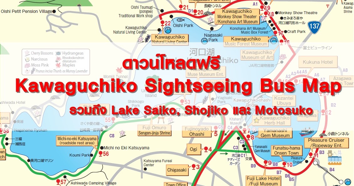 แผนที่รถบัสคาวากูจิโกะและภูเขาไฟฟูจิ - Fuji Kawaguchiko Sightseeing bus map