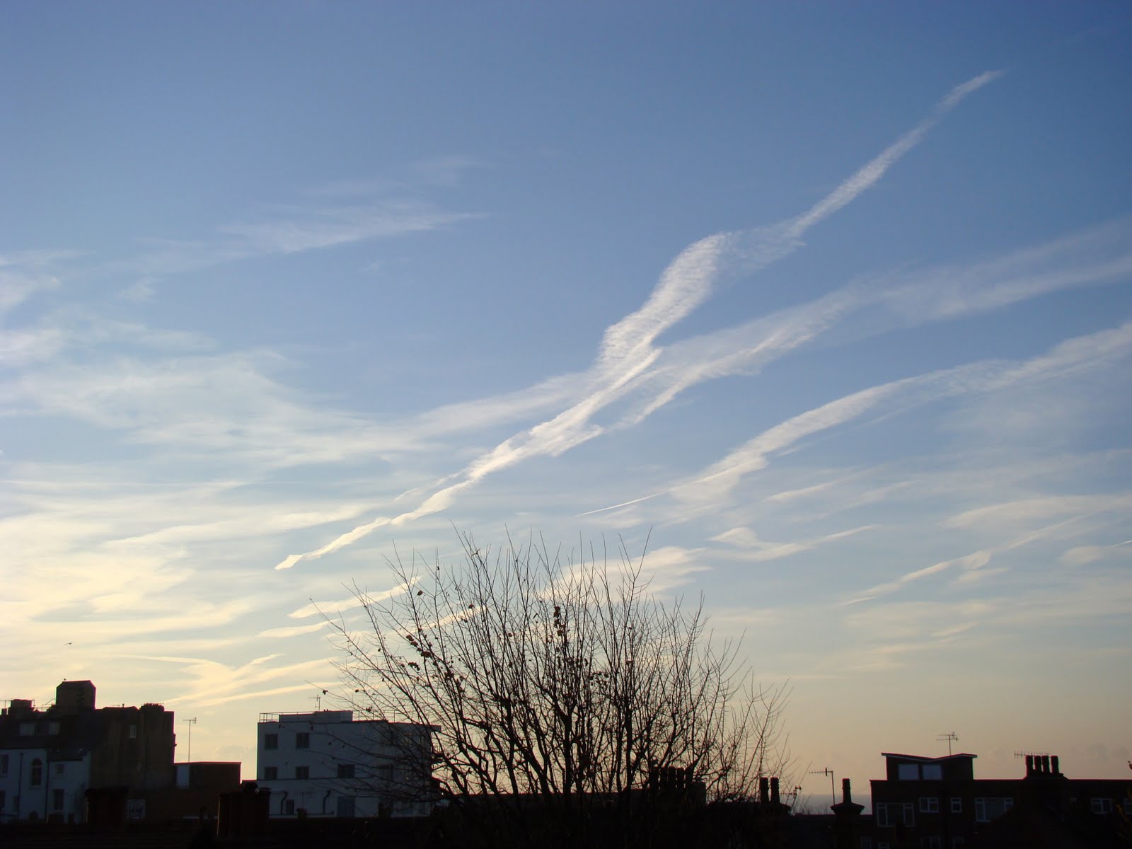 Hove Daily Photo: November 2011