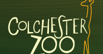 Zoo Jobs: Experienced Elephant Keeper
