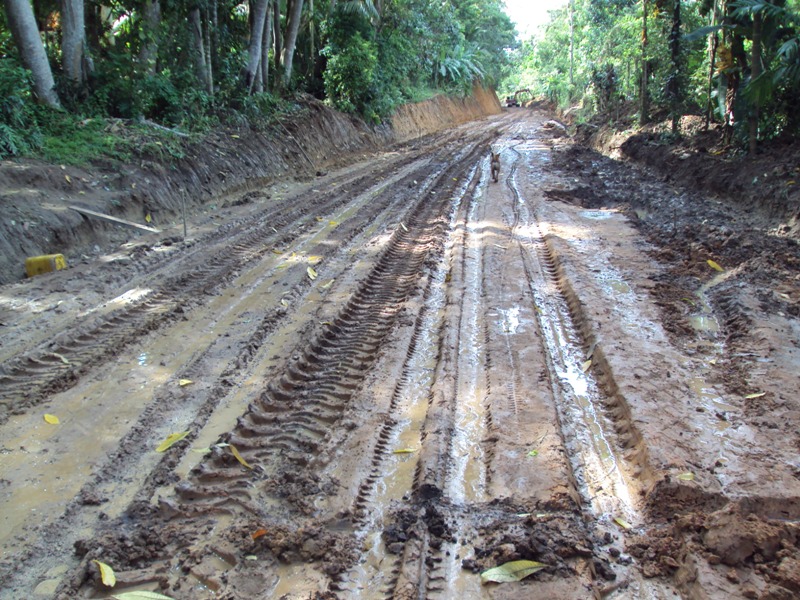 sticks and stones: Improvement for a Soft Subgrade in a Railway Track
