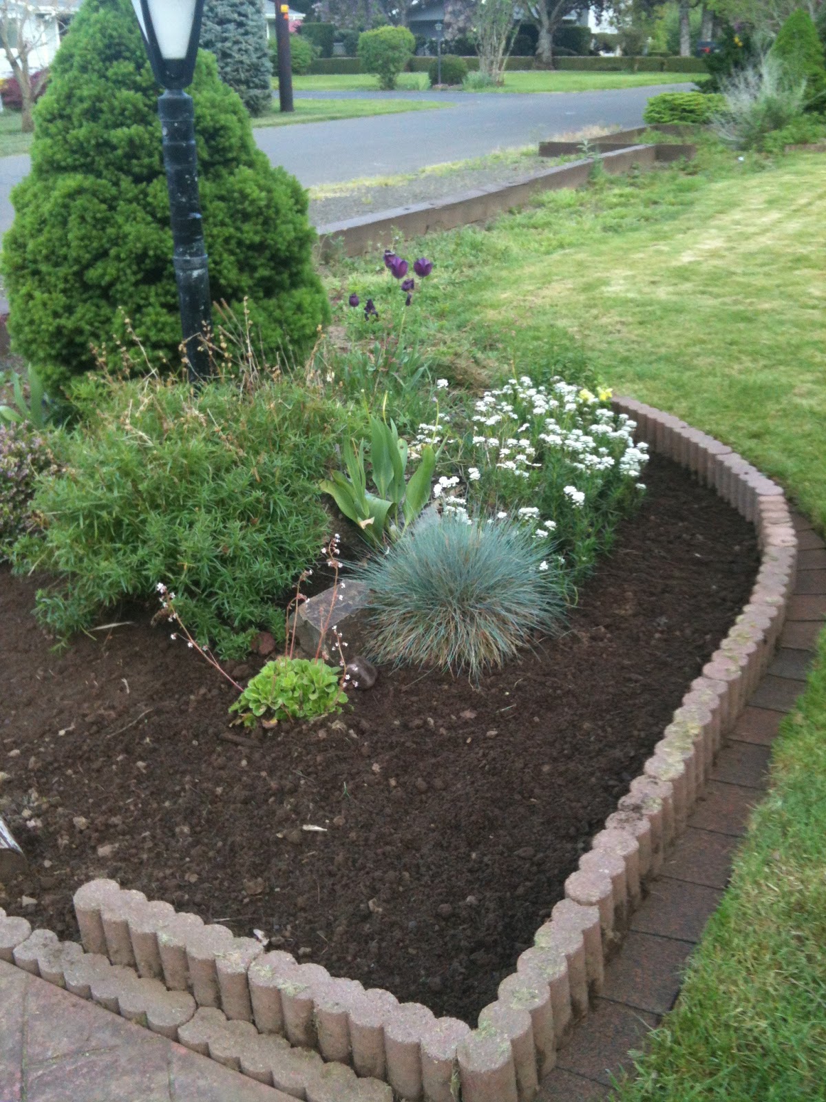 In The Garden with Claire: 3-tab shingles in the garden!!!
