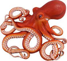 Octopus : General Feature