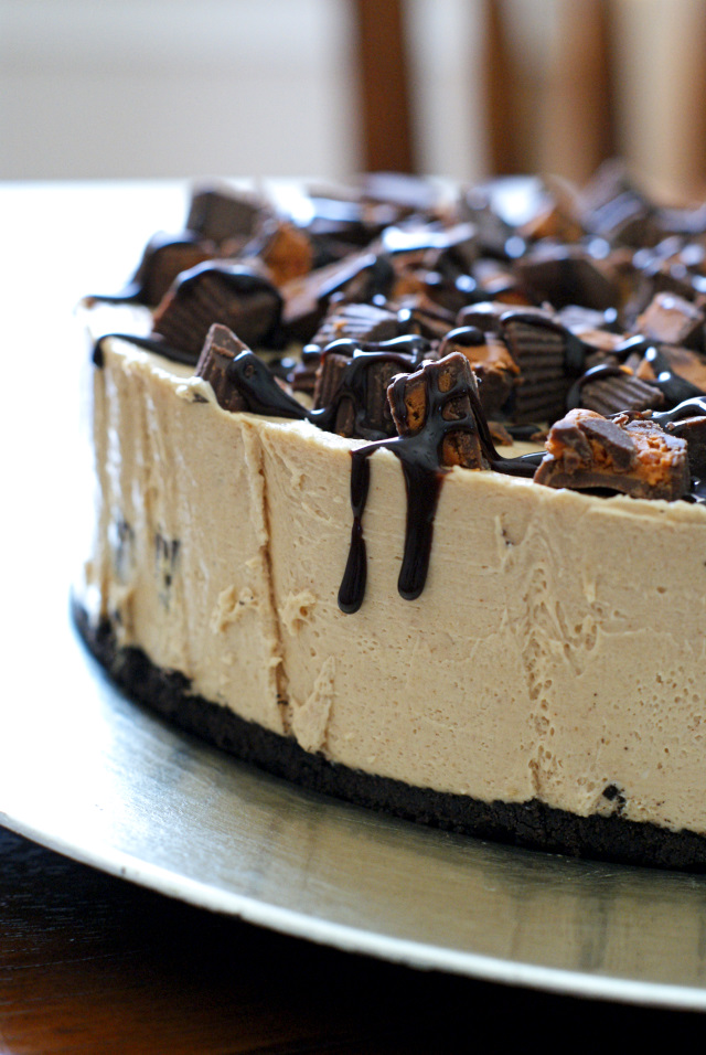 Peanut Butter Cup Overload No-Bake Cheesecake | The Two Bite Club