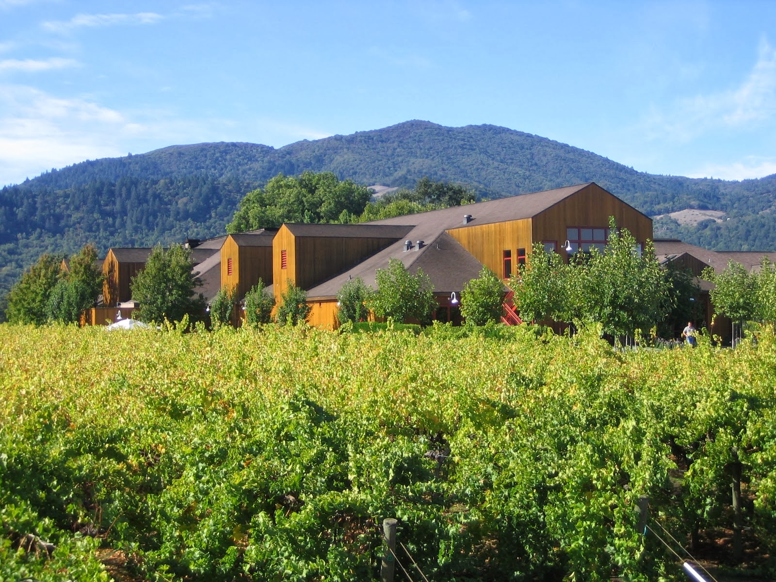 The Wellesley Wine Press: Thanksgiving Wines: New Releases from ...