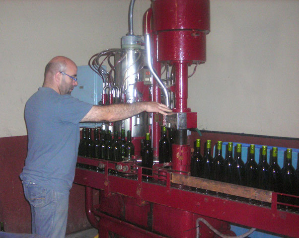 El VINO: Elaboración del vino