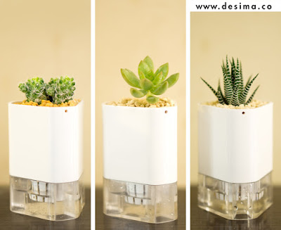 It's versatile, it's practical, it's Connect A Pot! - Farming Your Yard