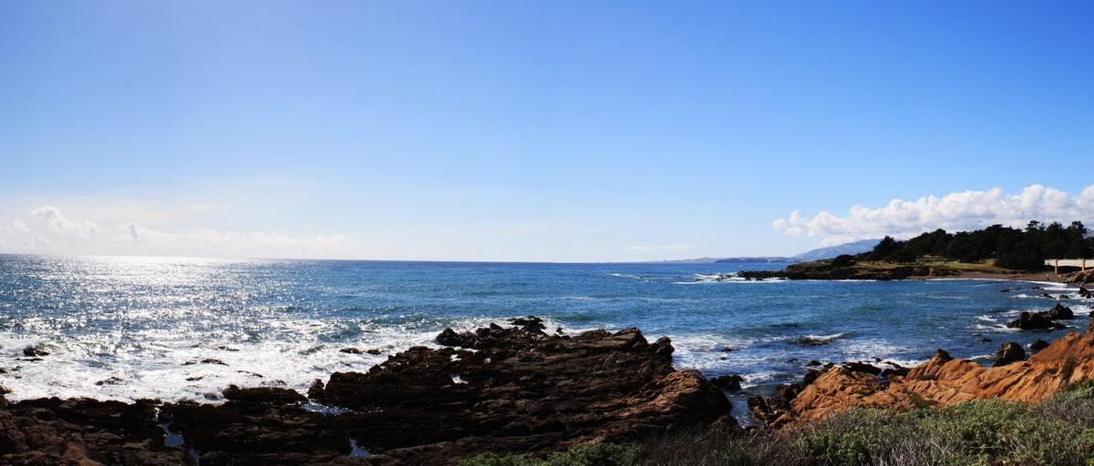 Cambria, CA: A Coastal Traveller's Delight ~ California Road Trip