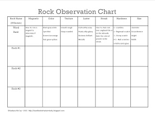 Rock Study ~ The Perfect Indoor Sick Day Nature Study