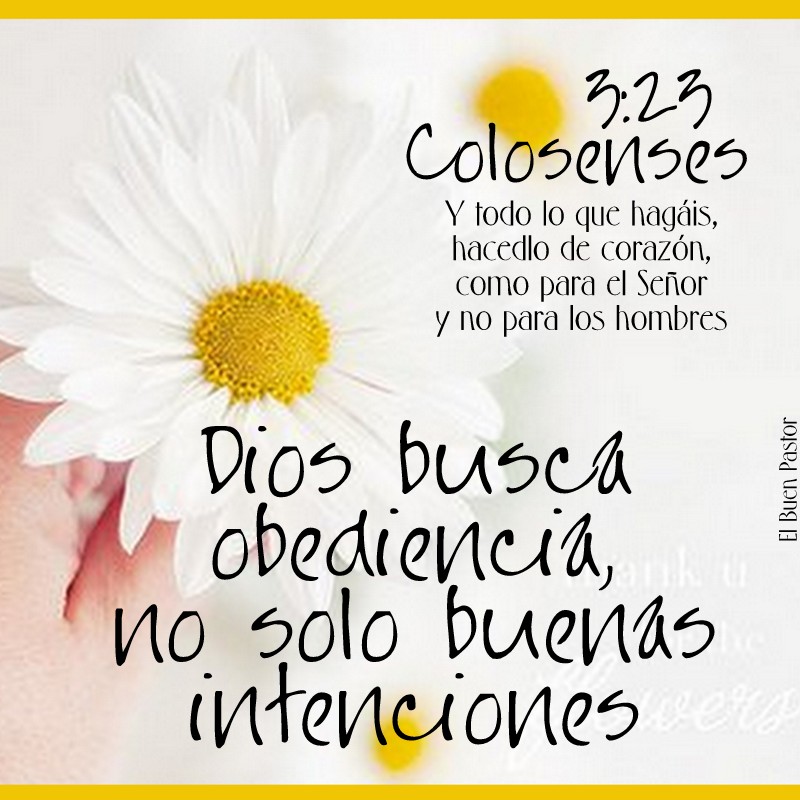 YO SOY EL BUEN PASTOR: Colosenses 3:23