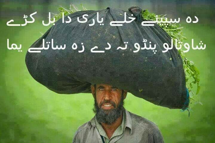 SILENT LOVER POETRY: Pashto Short Poetry, Two Line Poetry, Pashto ...