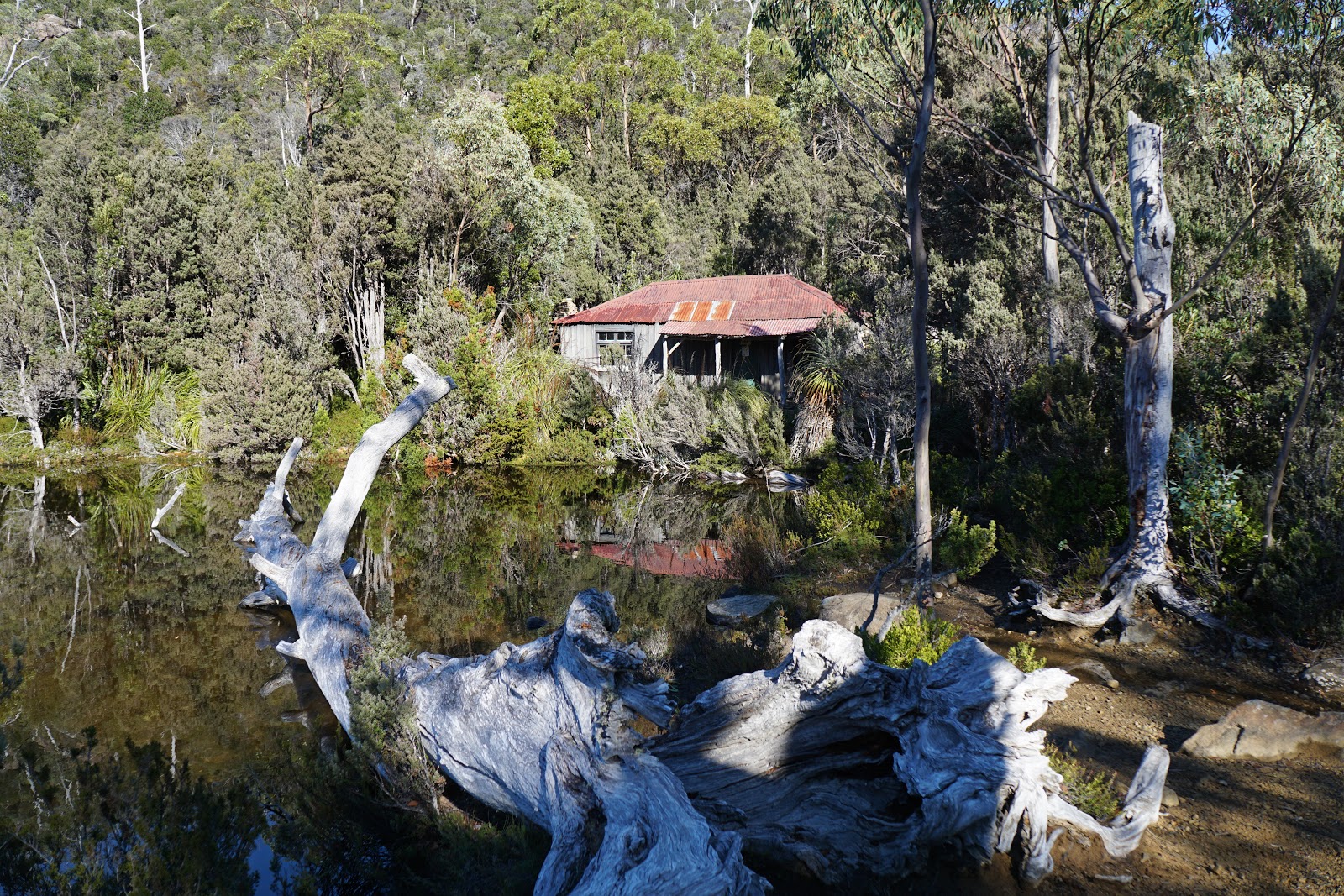 Tarn Shelf Circuit (Mount Field National Park) ~ The Long Way's Better