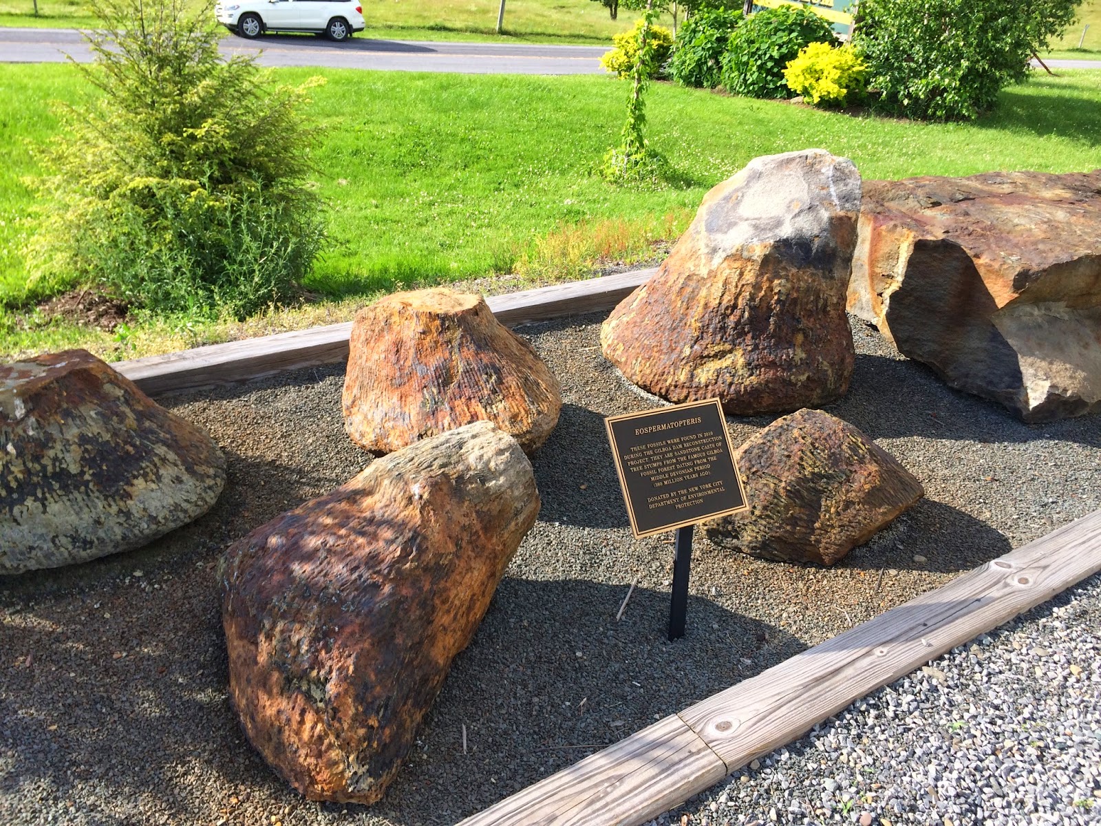 venturing4th: Gilboa Forest