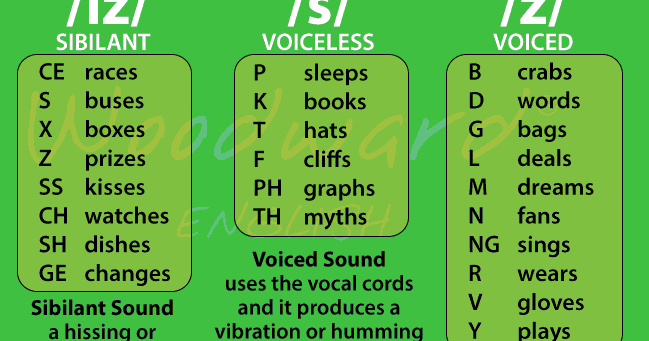 Verb Conjugation 3rd Person & Spelling