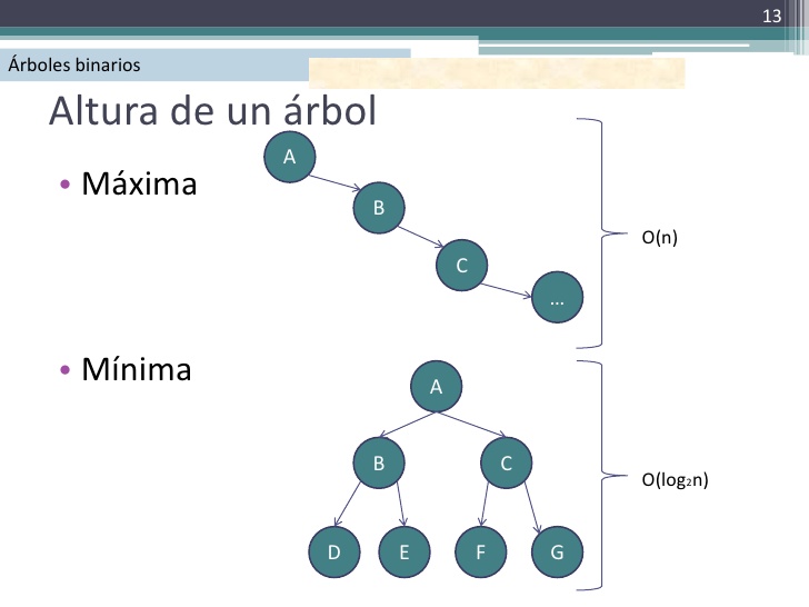 Matemáticas para la computación: Grafos y arboles