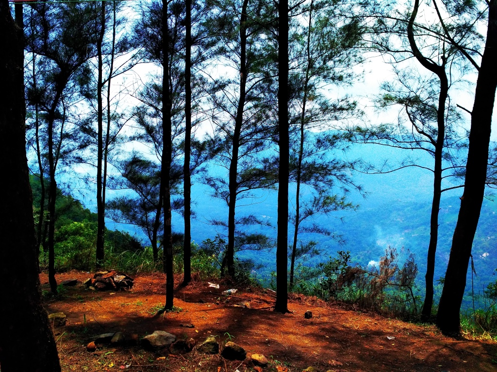 Tamilnadu Tourism: Kalimala Durgadevi Temple, Pathukani, Kanyakumari