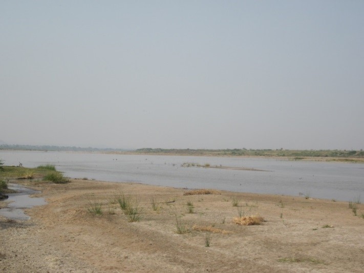 South Asian Archaeology: Prehistoric cultural landscapes of Karnataka ...