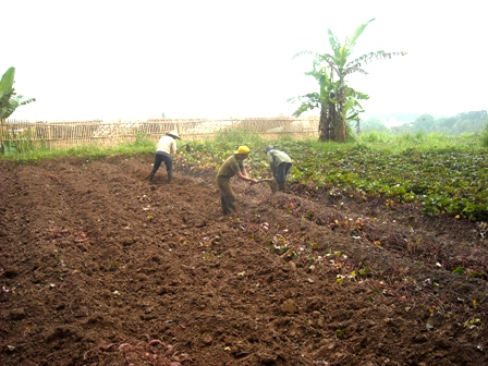 Metode Konservasi Tanah dan Air: Konservasi Tanah dan Air