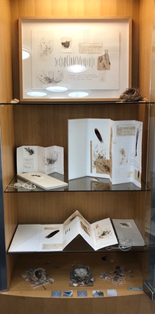 Rustnstuff: Display in Maleny Library