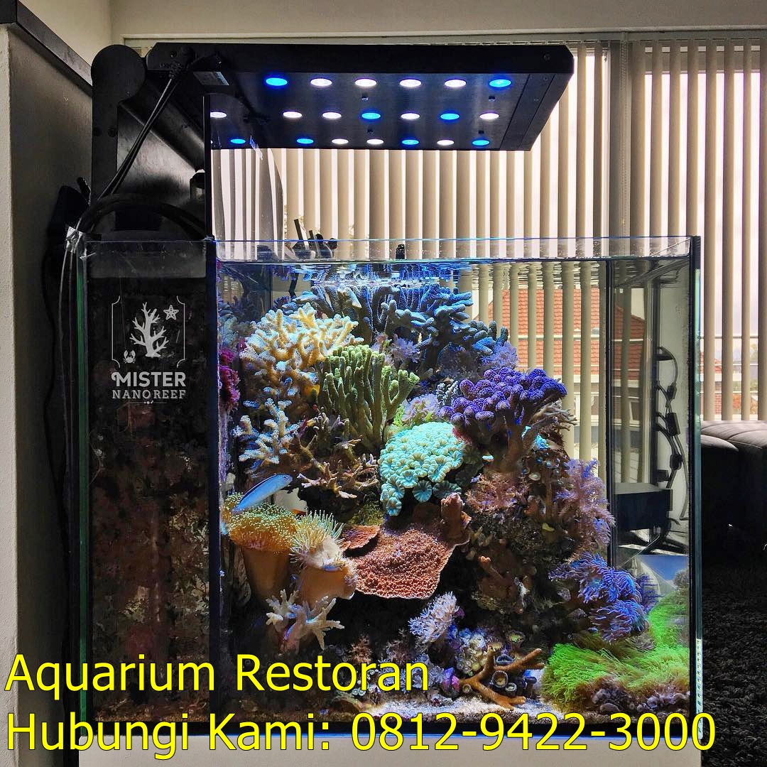 Jasa Pembuatan Aquarium Air Laut 0812.942.230.00: Jasa Pembuatan ...