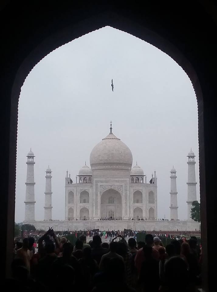 incmiart: Taj mahal with Martin Blom
