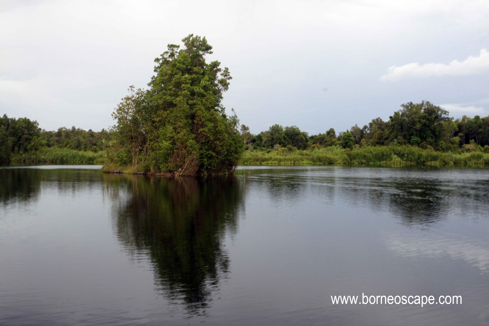 Kekayaan Alam Danau Merebung, Meliau, Kapuas Hulu - BorneoScape