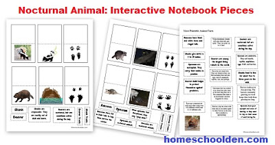 The Homeschool Den: Living and Non Living Sorting Activities