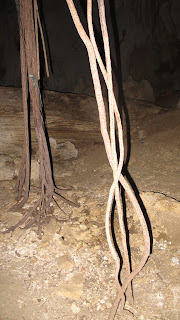 Bakwitan Cave of Gigantes Norte, Isla Gigantes, Carles, Iloilo