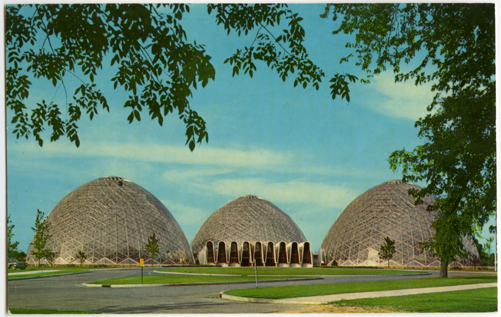 The Wisconsin Project: Tensegrity Wigwam with Builder, Whitelaw, WI