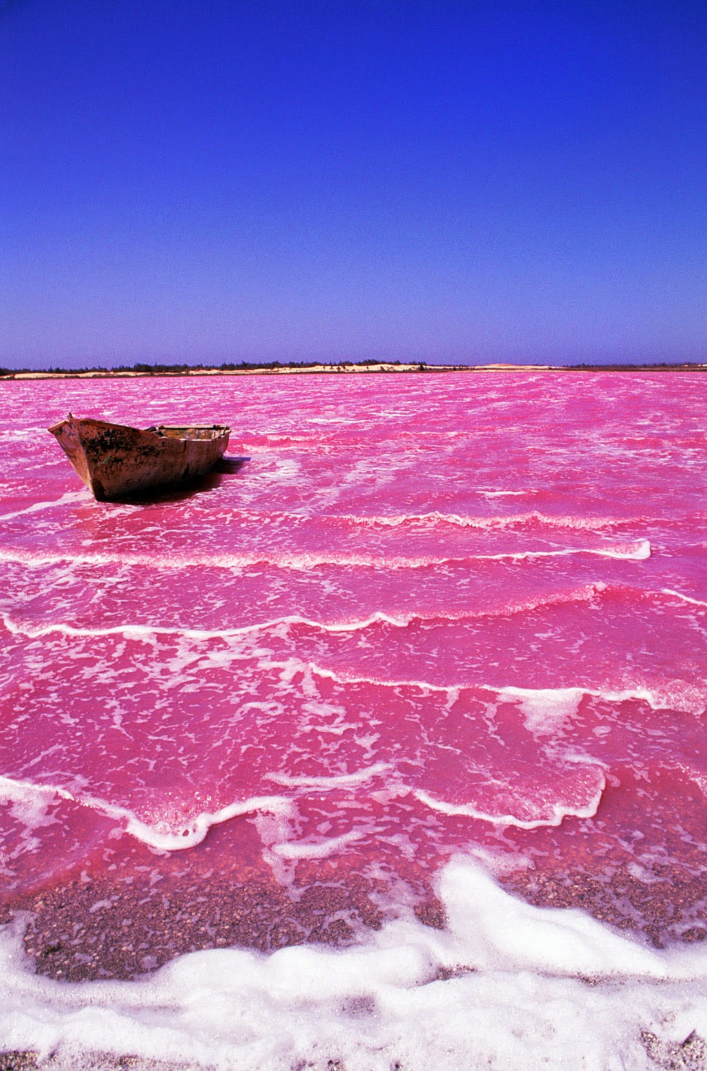 BizarrEarth: Pink Lakes