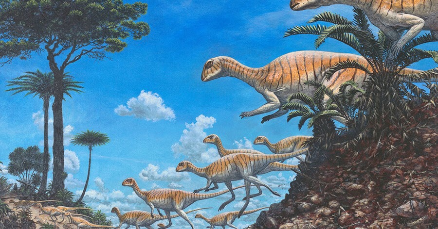 Mundo Pré-Histórico: Hipsilofodonte, o pequeno corredor