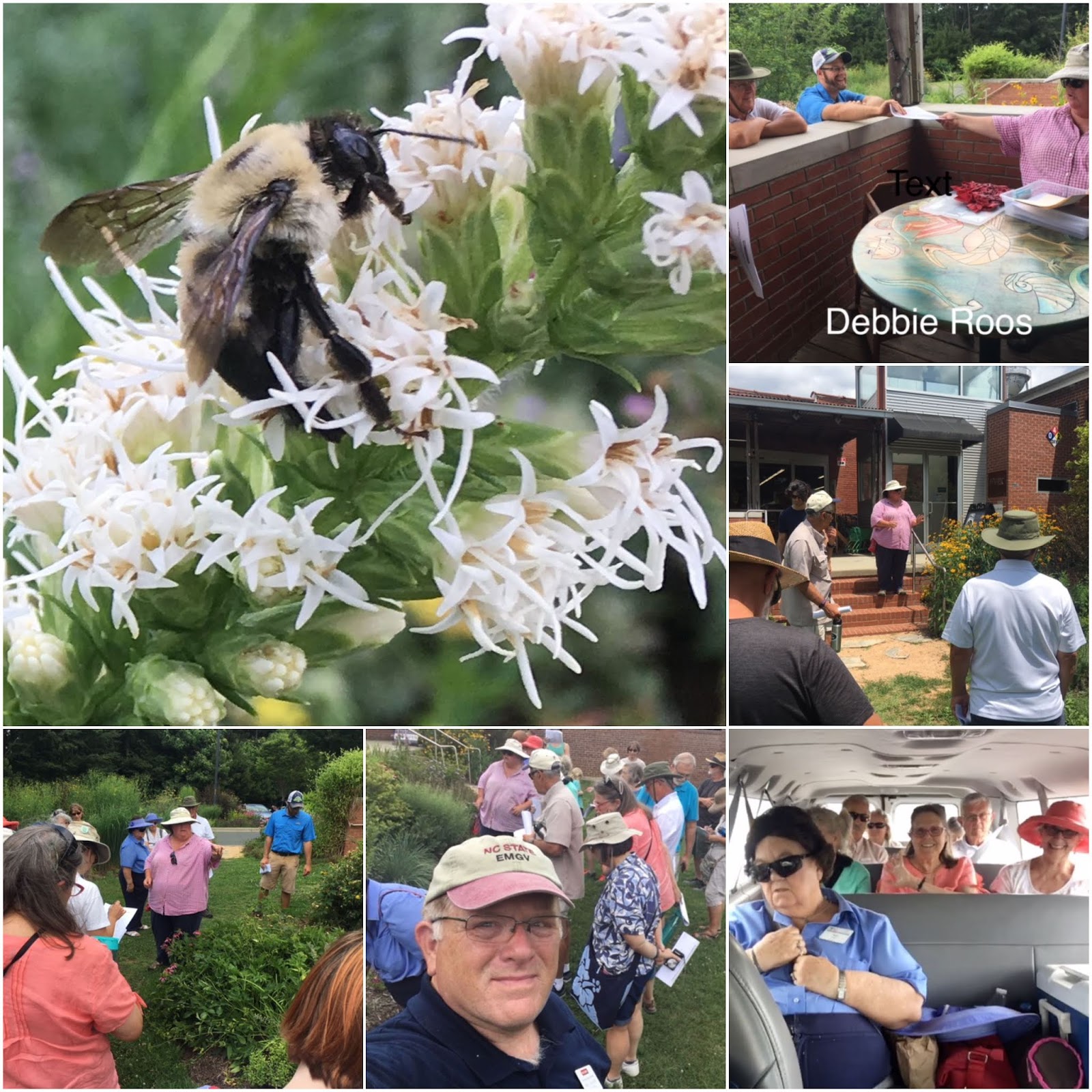Welcome to the Pitt County Arboretum: POLLINATOR PARADISE GARDEN