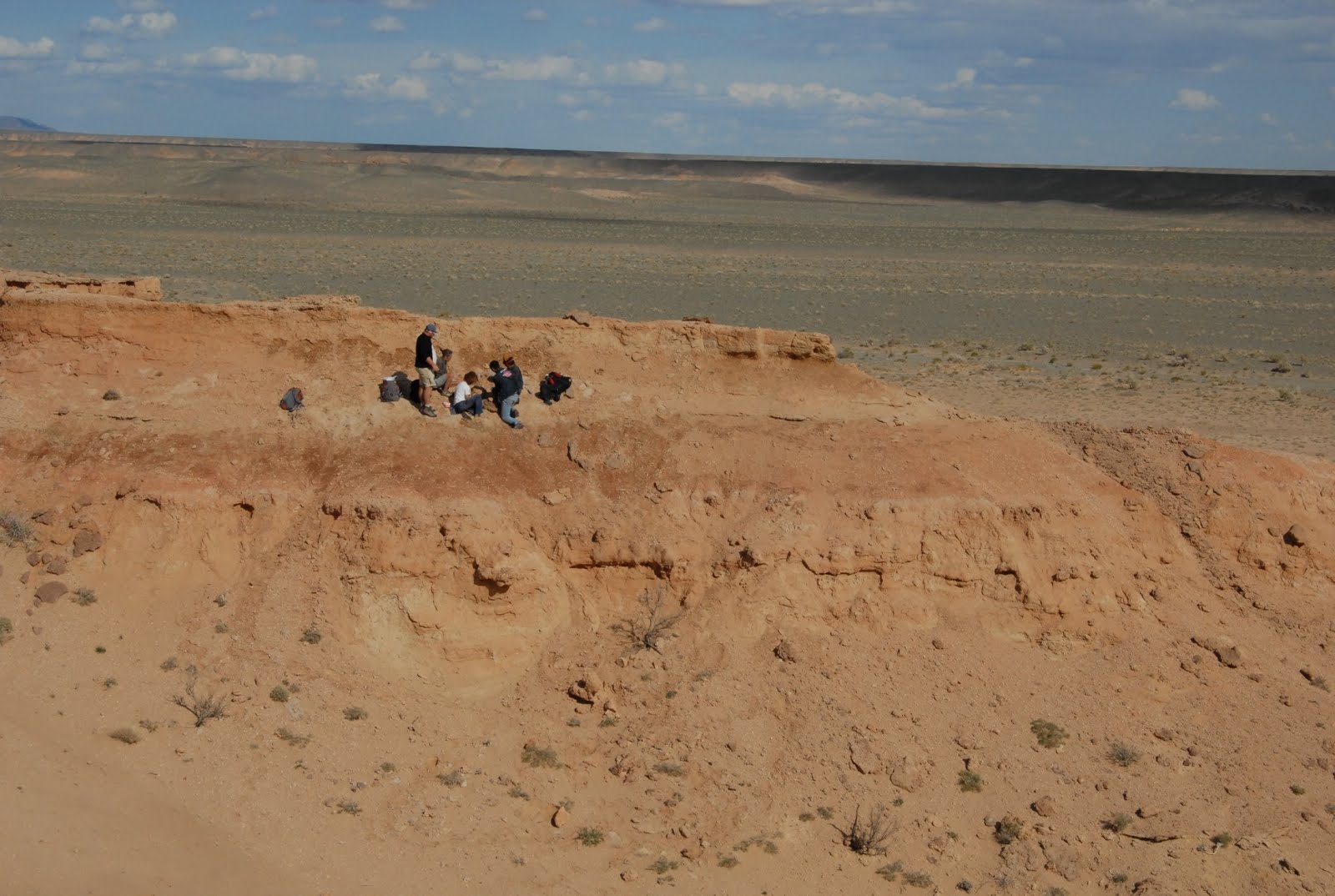 Species New to Science: [Paleontology • 2019] Gobiraptor minutus • A ...