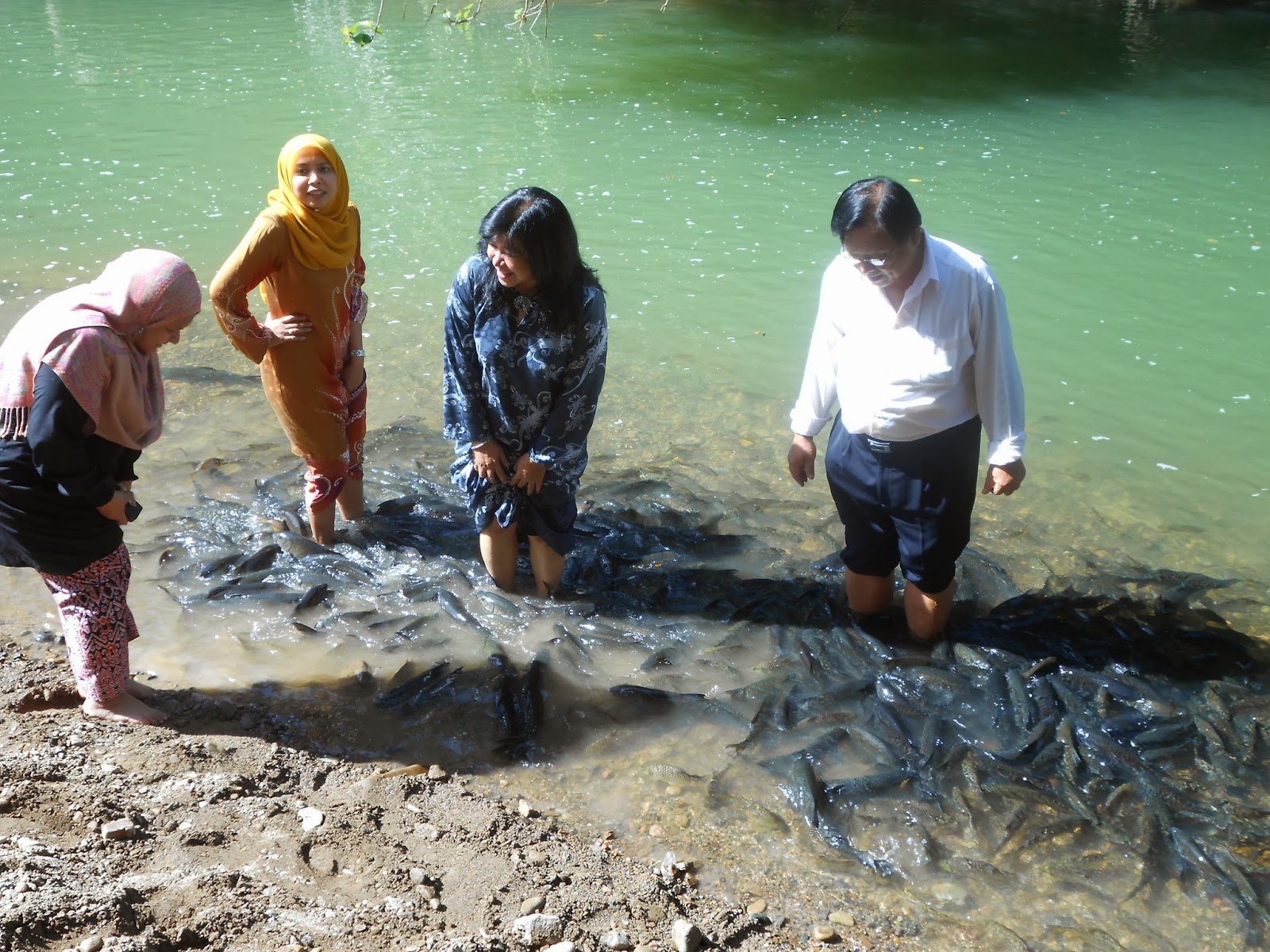 FREELITTLEBRAIN: Fish SPA in Sabah -Tagal Sungai Moroli, Kg Luanti Baru