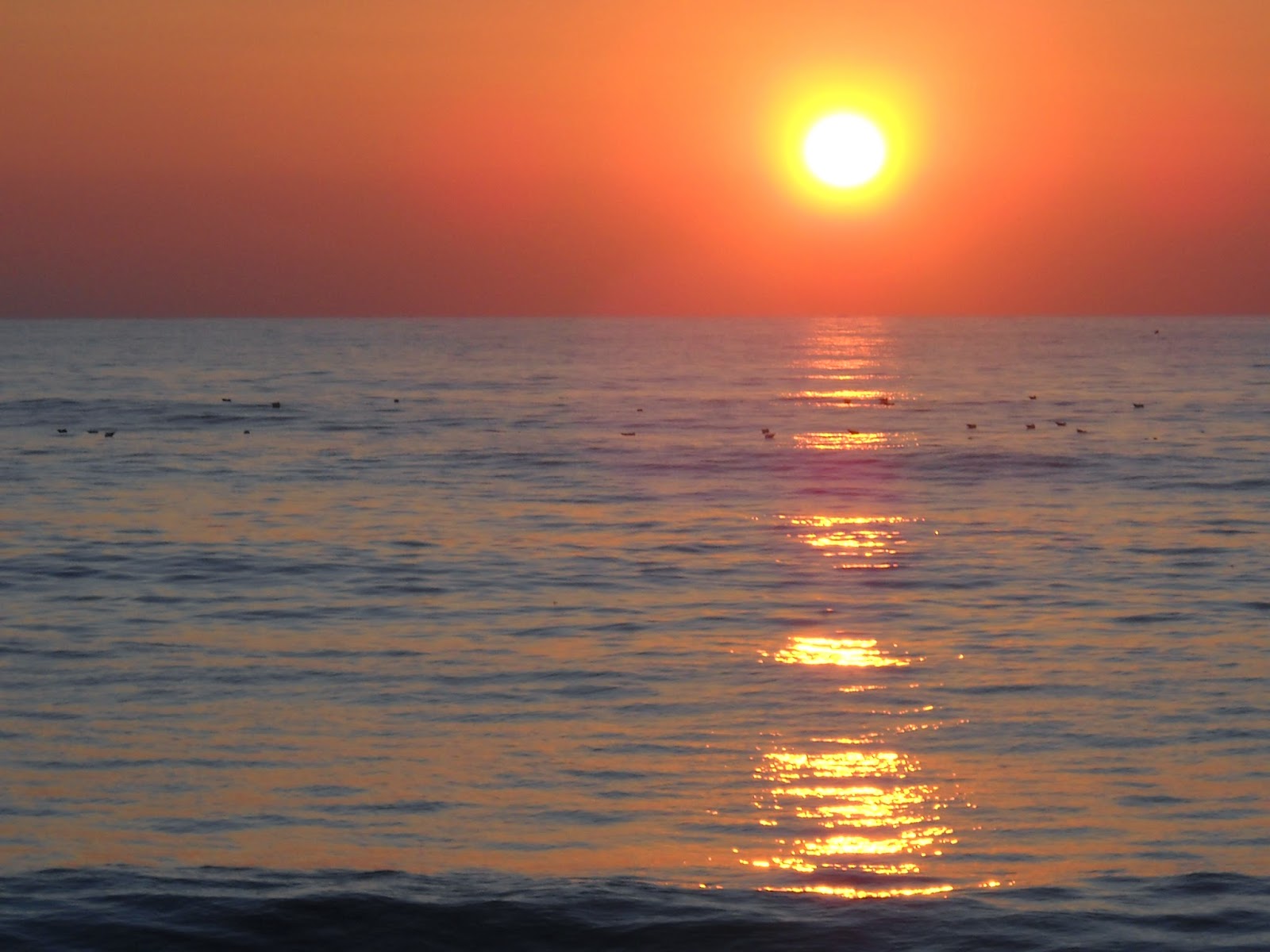 As Estações do Ano: VERÃO