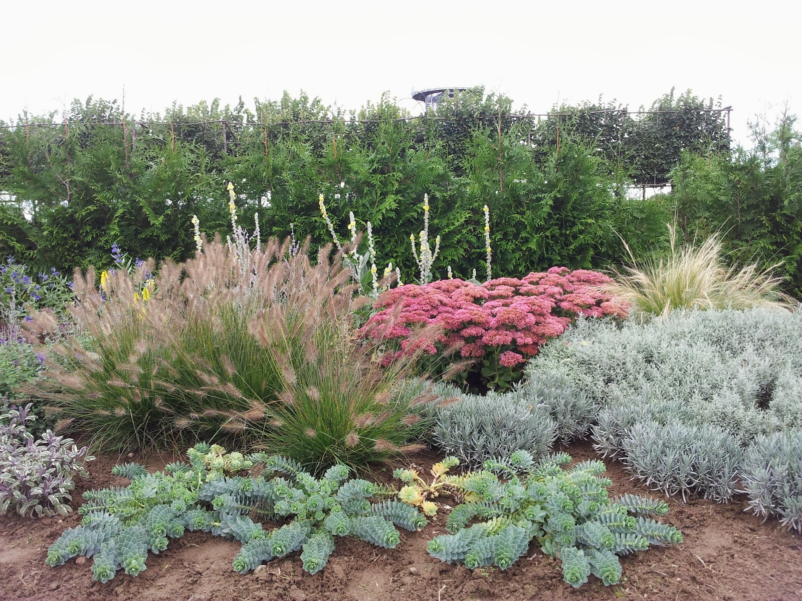 Jesienne rabaty do wzięcia