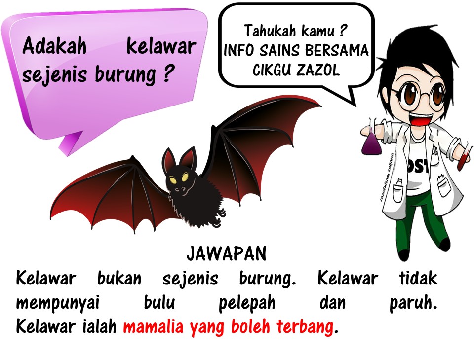 ZAZOLNIZAM BIN ZAKARIA: Info Sains SEkolah Rendah