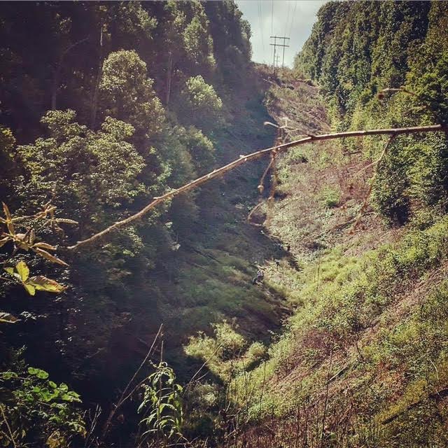 Band of Runners: The Barkley Fall Classic