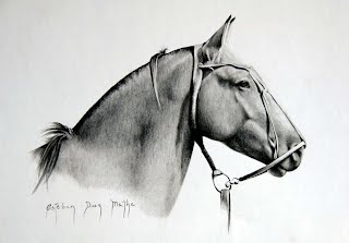 El GAUCHOGUACHO: Caballito criollo