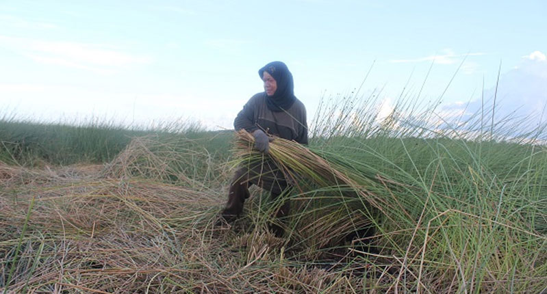 PEDAMARAN KOTA TIKAR