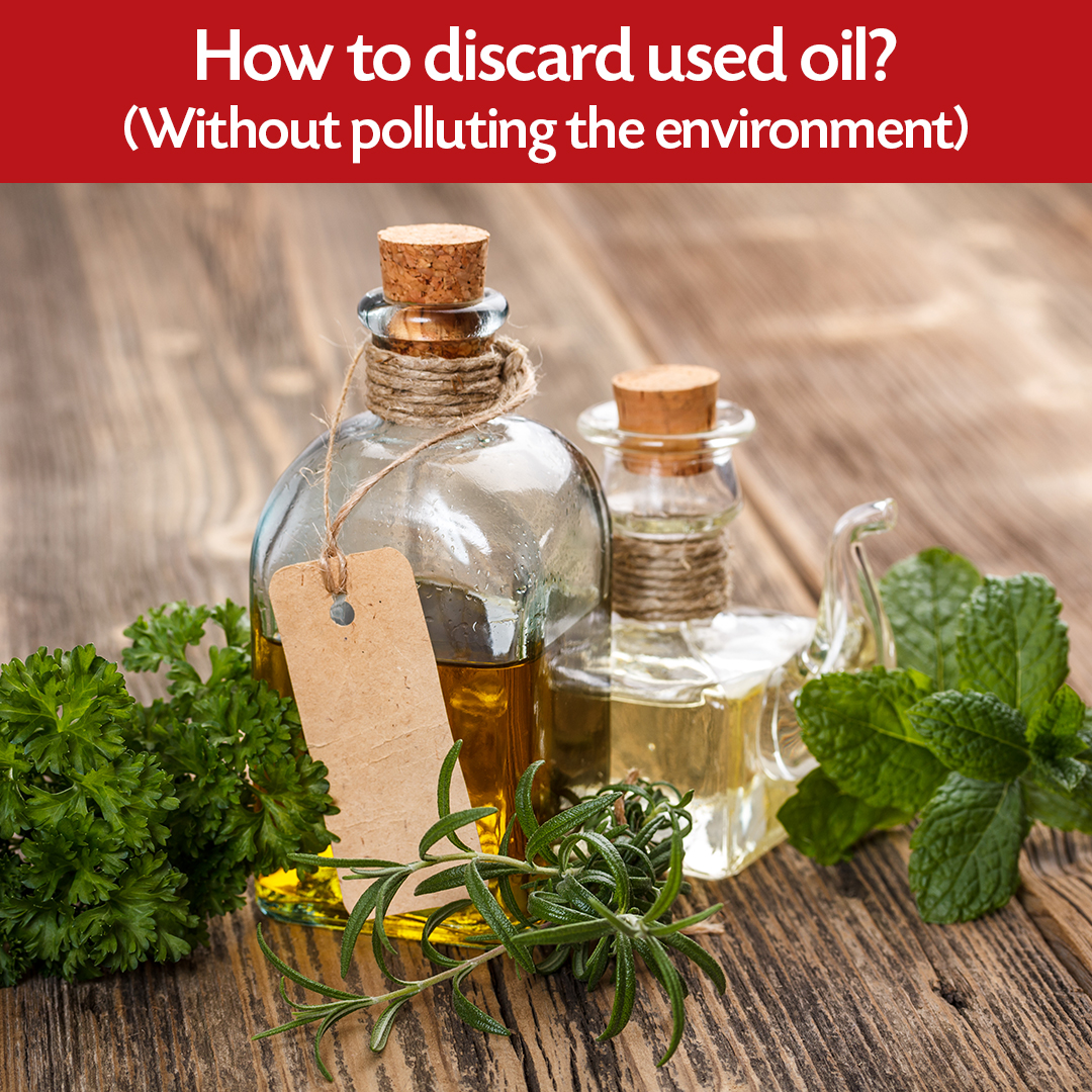 Davide Punto Cucina: How to Discard Used Oil Without Polluting Nature?