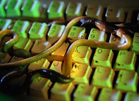 How the hell should I know?: Computer worm unleashed on world.by US...