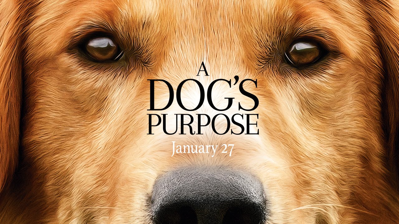 Mandrágora_Online: A Dog’s Purpose, una película que habla de la ...