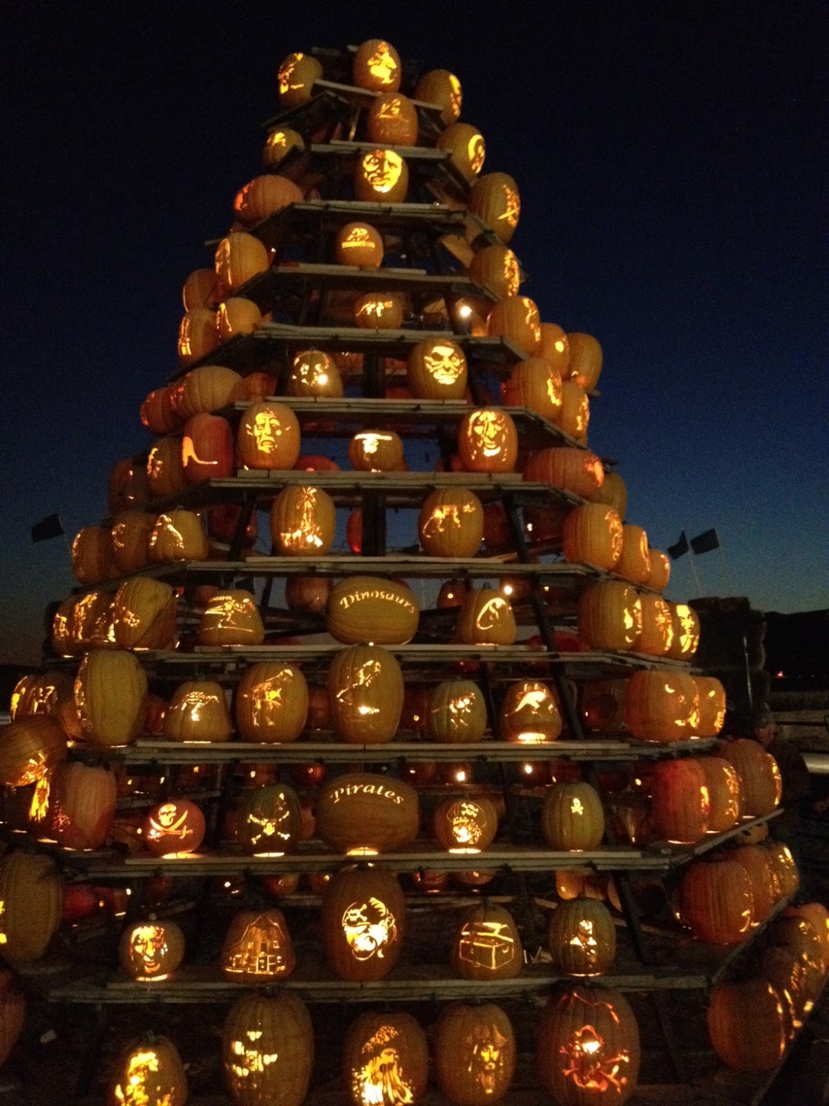 The Girl With Too Much To Say