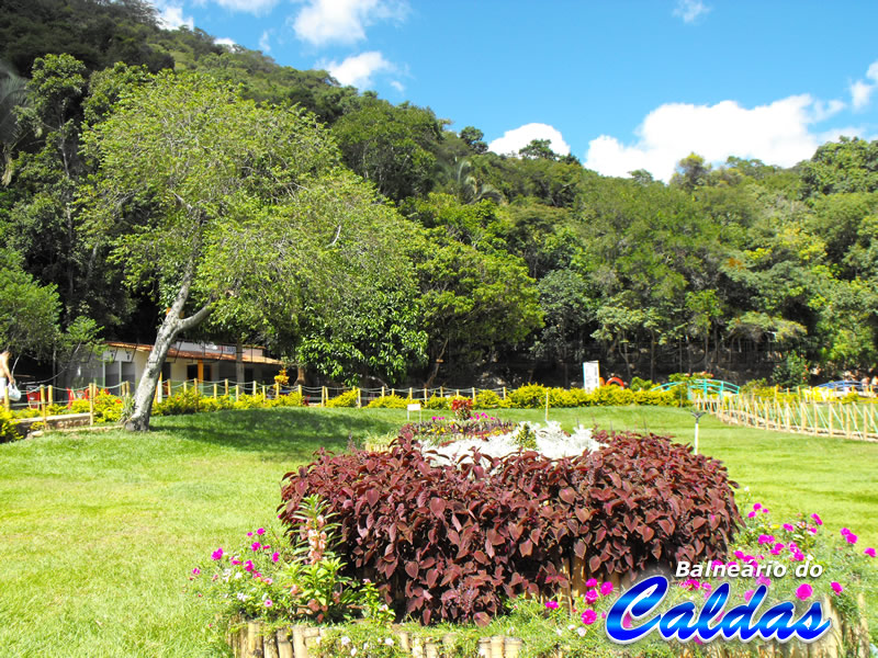 News: O Cariri Cearense é cenário de belezas, gastronomia e muita fé ...