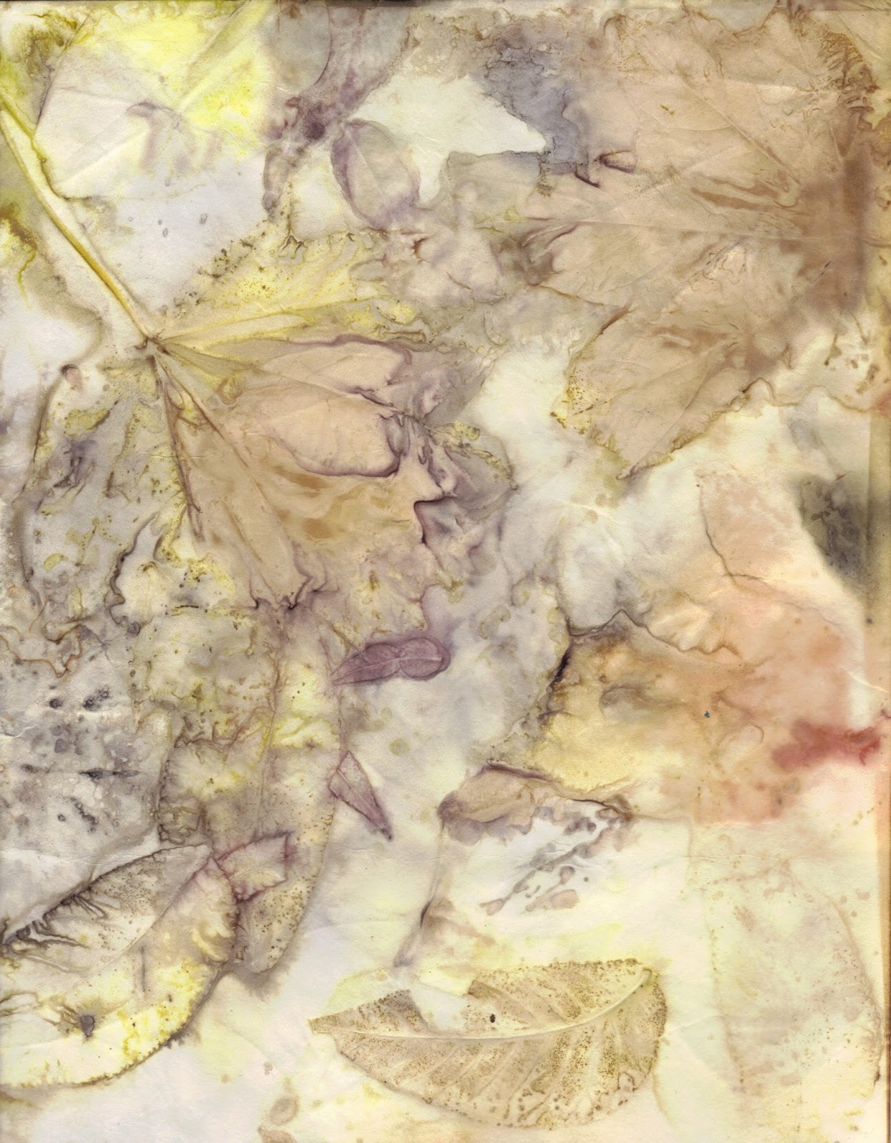 8 that create: Nature's Colors