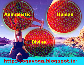 YOGA AND MEDITATION ARTICLES: HUMAN BEING A COMBINATION OF THREE ...