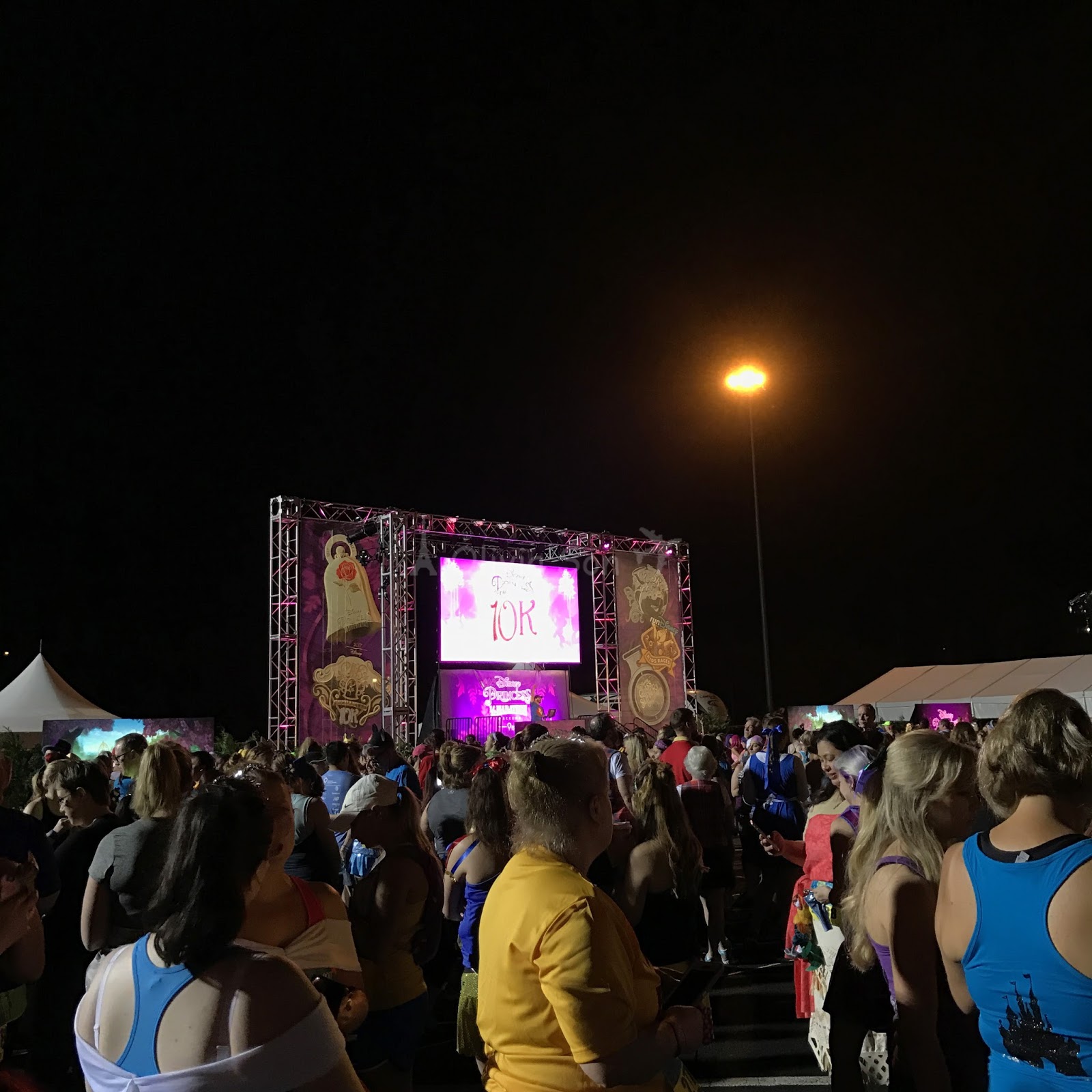 Yop Voyage : Vacances et Vacourses: Retour sur le Disney Princess Half ...